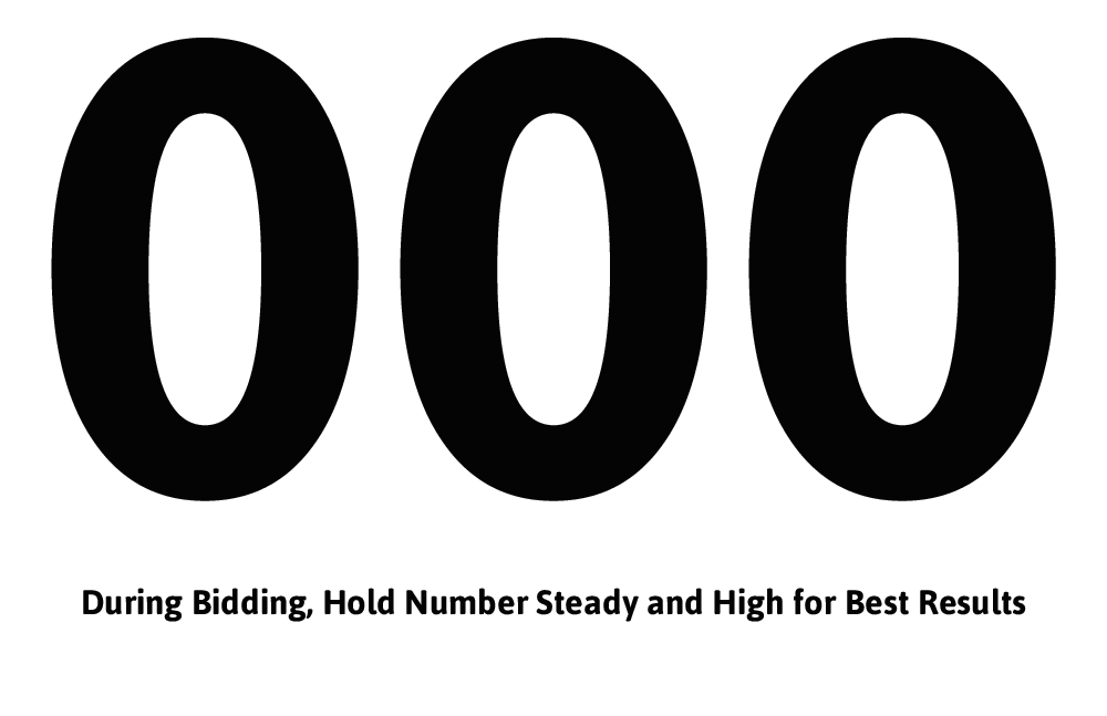 Explore Custom ANC-Auction Number Cards Templates & Personalize Instantly