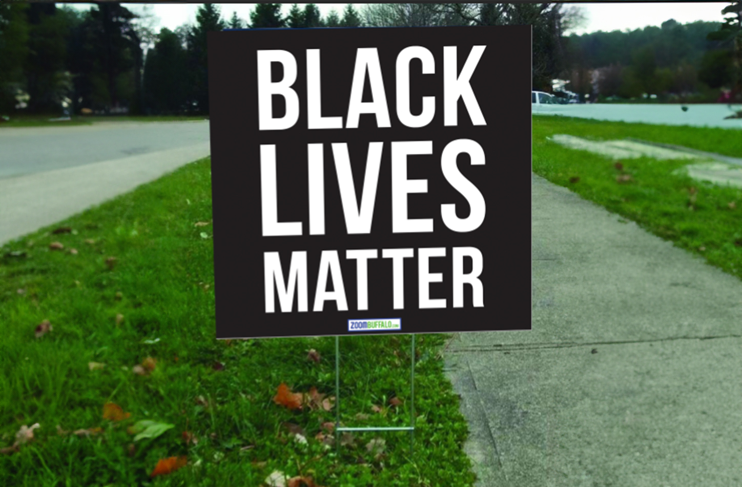 Black Lives Matter Signs - ZoomBuffalo