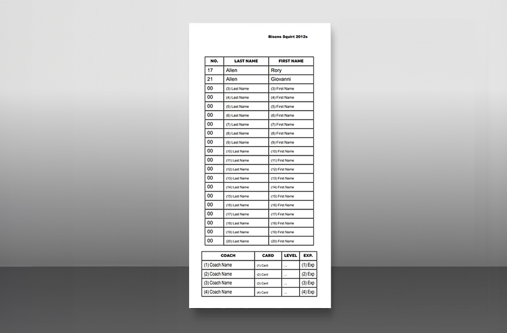 Hockey Scoresheet Labels (4" x 2") - ZoomBuffalo