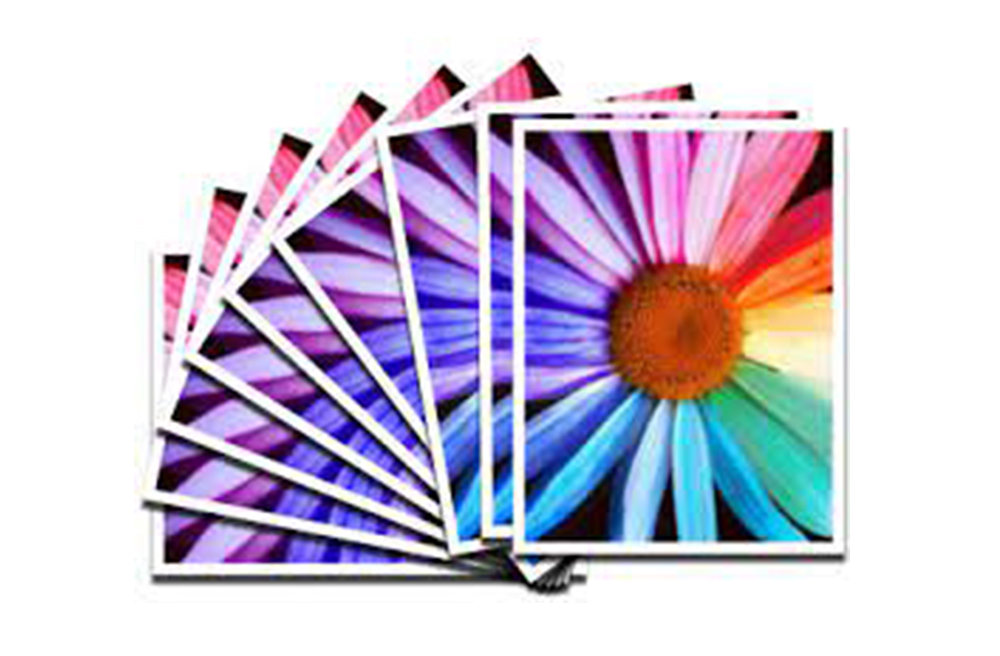 Printing 8.5 x 11 Black and White or Color Copies - ZoomBuffalo